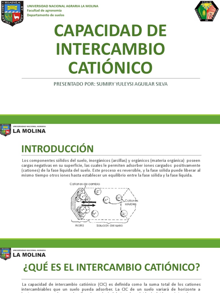 Definición y Capacidad de Intercambio Catiónico | PDF | Química Física ...