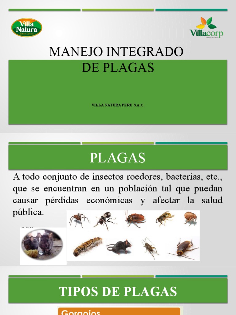 Control de Plagas | PDF | Mosca | Insectos