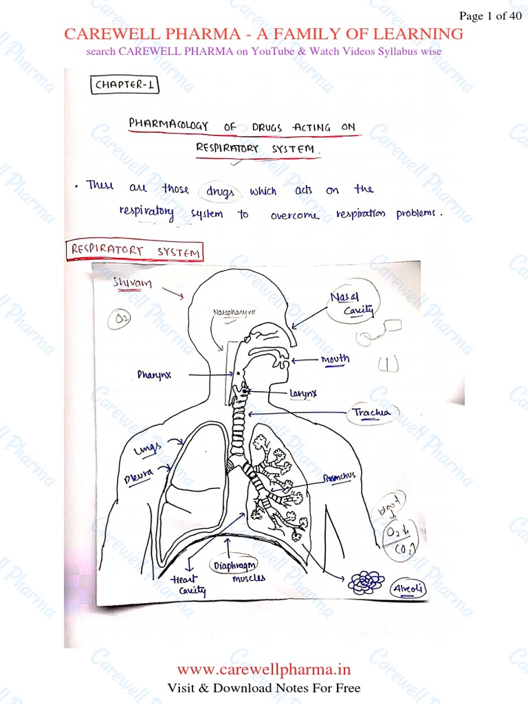 Pharmacology of Drugs Acting On Respiratory System Complete | PDF ...