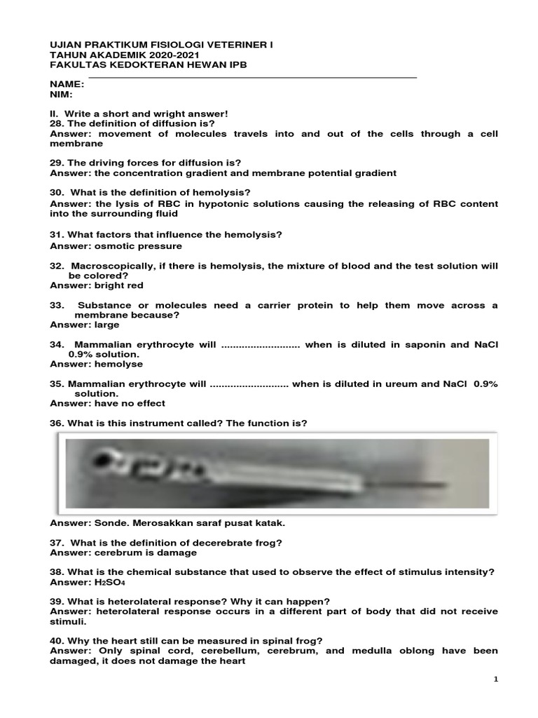 Essay Question For Final Practical Exam Fisvet 2020 | PDF