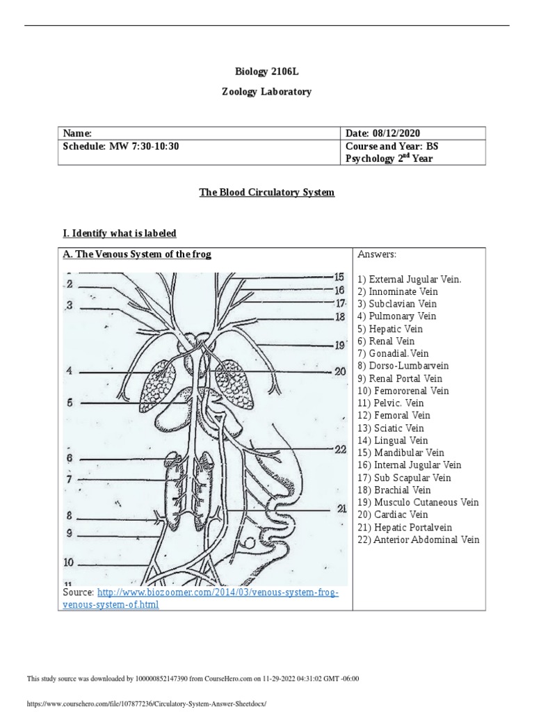 Circulatory System Answer Sheet.docx | PDF | Atrium (Heart) | Heart