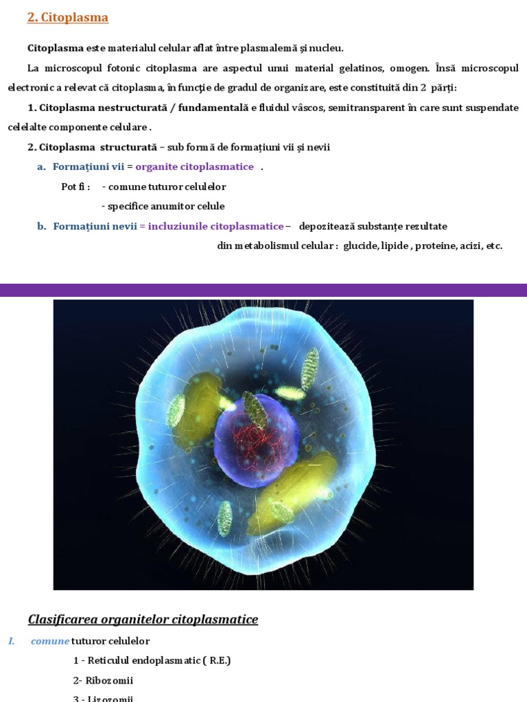 Cito Plasma | PDF