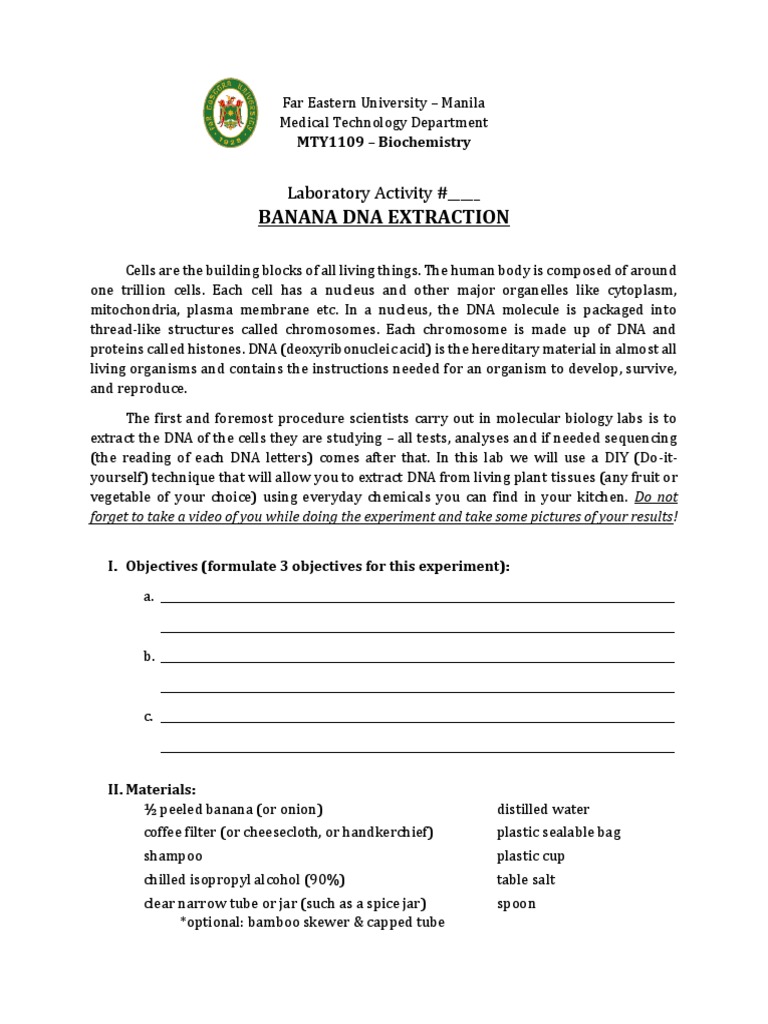 DIY DNA Experiment - Student | PDF | Cell (Biology) | Dna