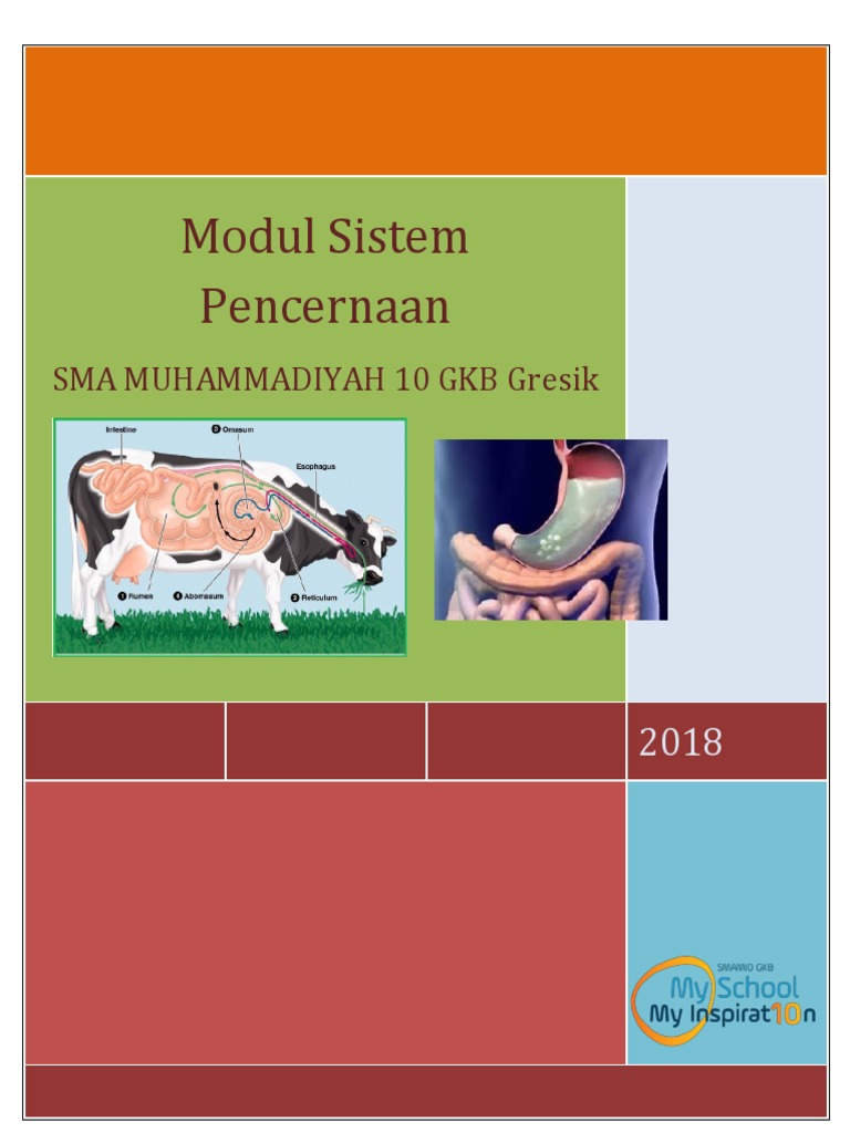 Modul Sistem Pencernaan Makanan | PDF Modul Sistem Pencernaan Makanan | PDF