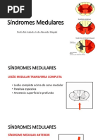 FSQ - Fibromyalgia Survey Questionnaire (Índice de Dor Generalizada ...