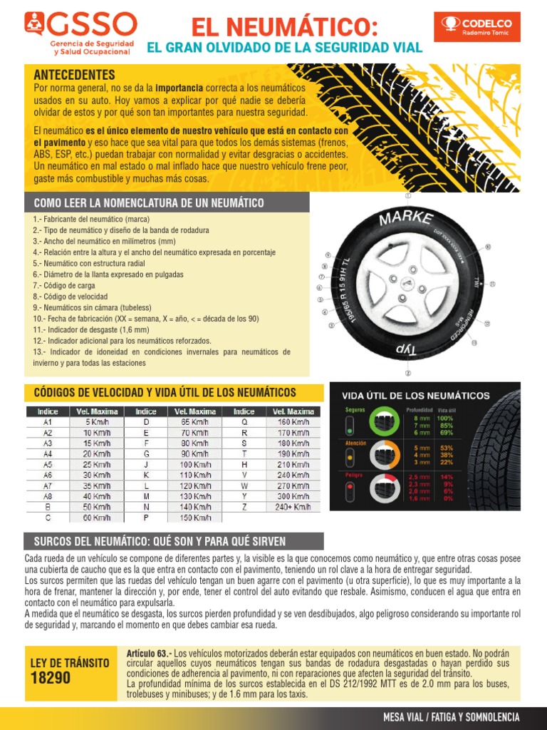 Ficha Técnica GSSO El Neumático(1) | PDF | Neumático | Vehículos