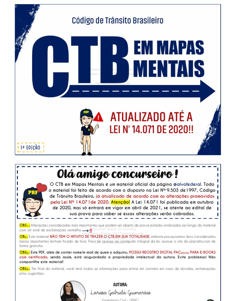 CTB - Mapa Mental | PDF | Tráfego | Transporte