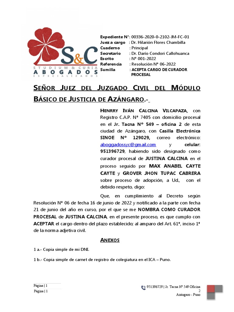 Acepta Cargo de Curador Procesal - Justina | PDF | Judicaturas | Justicia