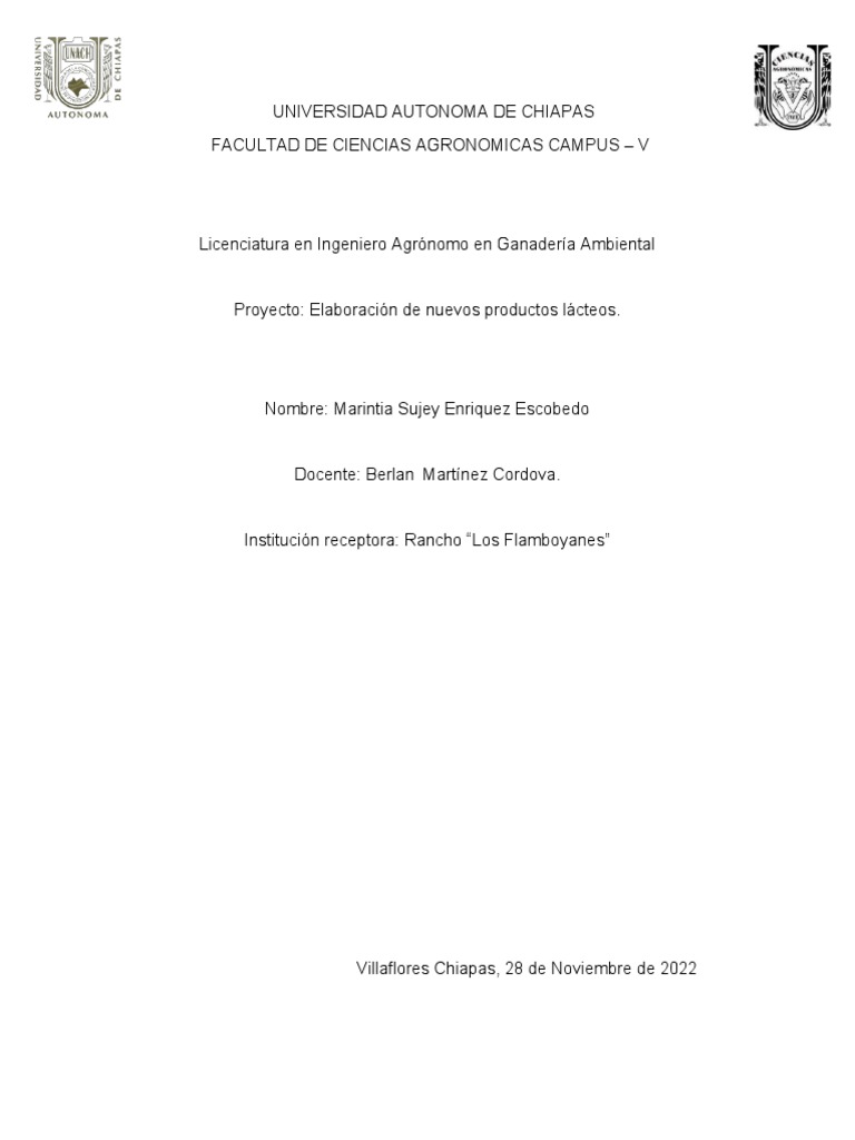 Reporte de PP Final | PDF | Yogur | Productos lácteos