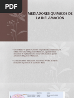 Proteus Ox-19 y Rickettsiosis | PDF | Organismos | Epidemiología