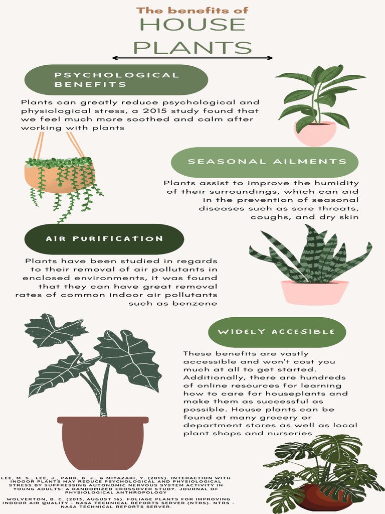 Benefits of House Plants for Wellbeing | PDF | Houseplant | Health Sciences