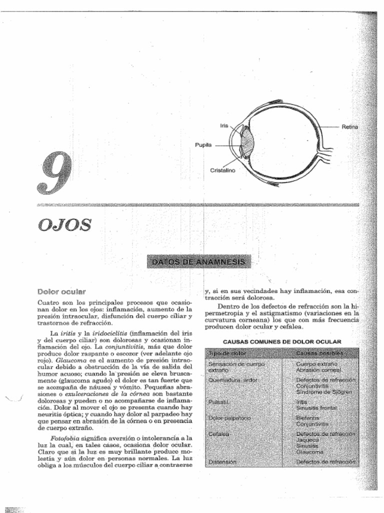 Ojos | PDF