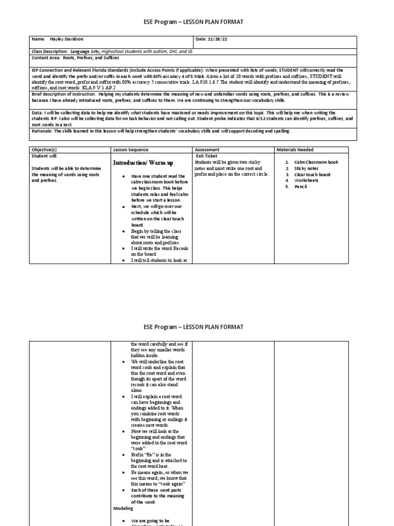 Prefix and Root Word Lesson Plan | PDF | Lesson Plan | Behavior ...