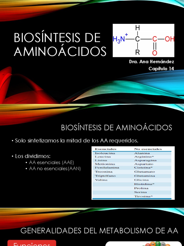 Biosíntesis de Aminoácidos | PDF | Biosíntesis | Transaminasa