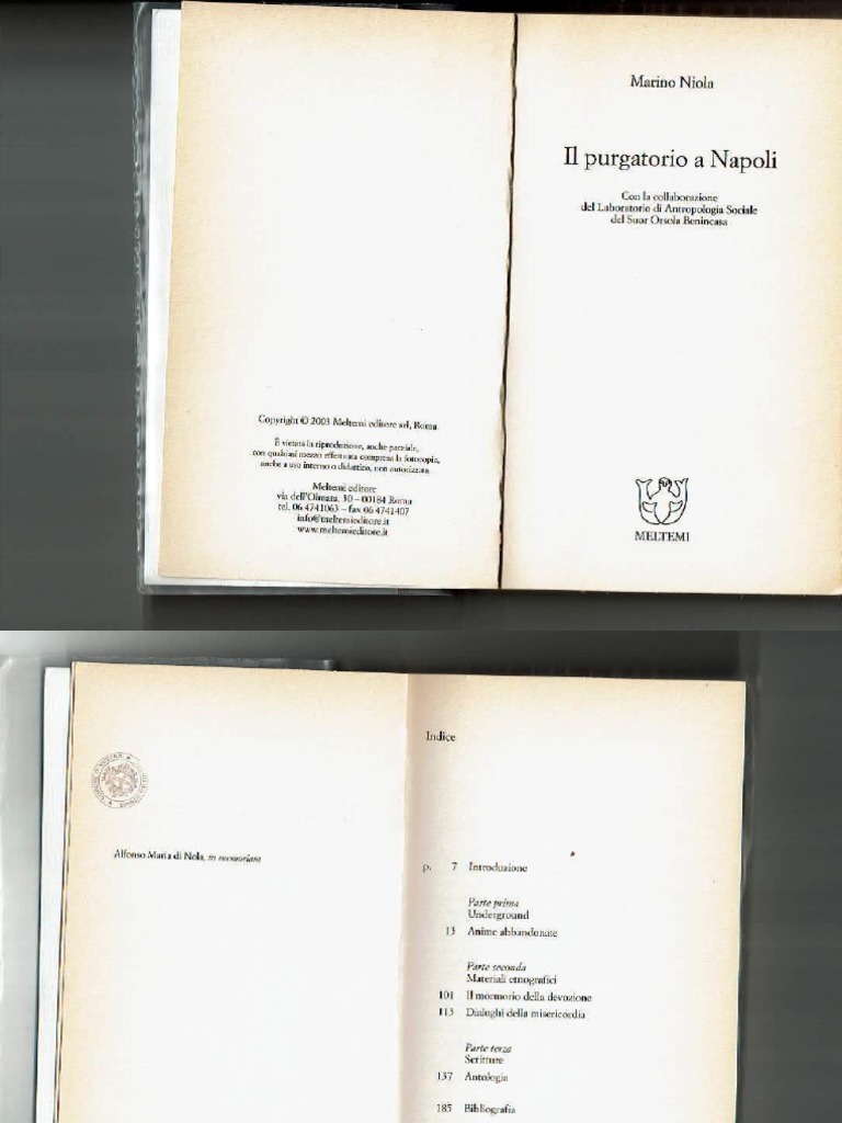 Niola Purgatorio A Napoli | PDF