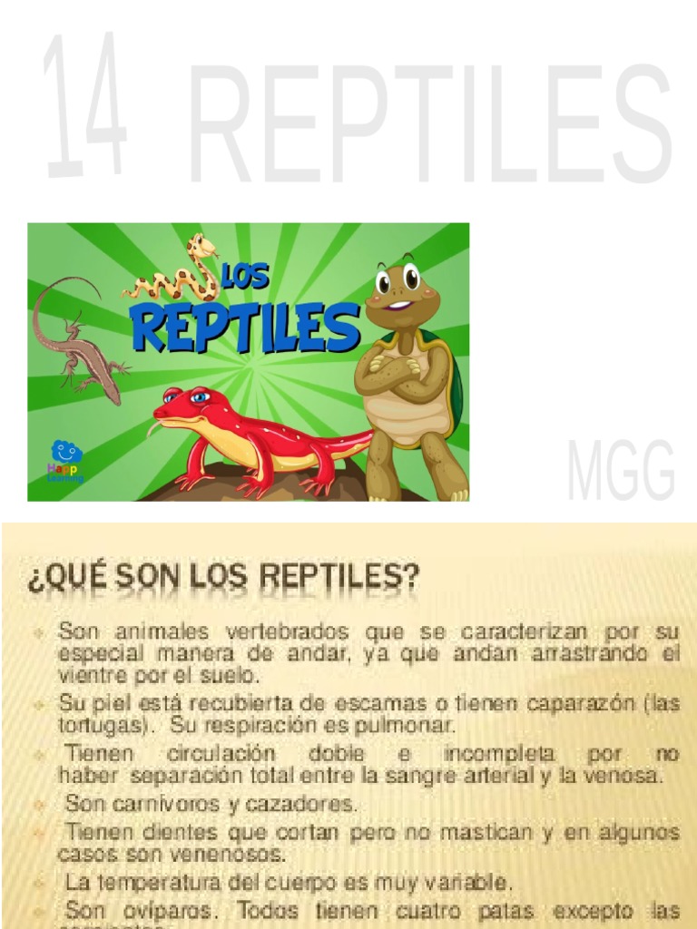 14 - Reptiles | PDF
