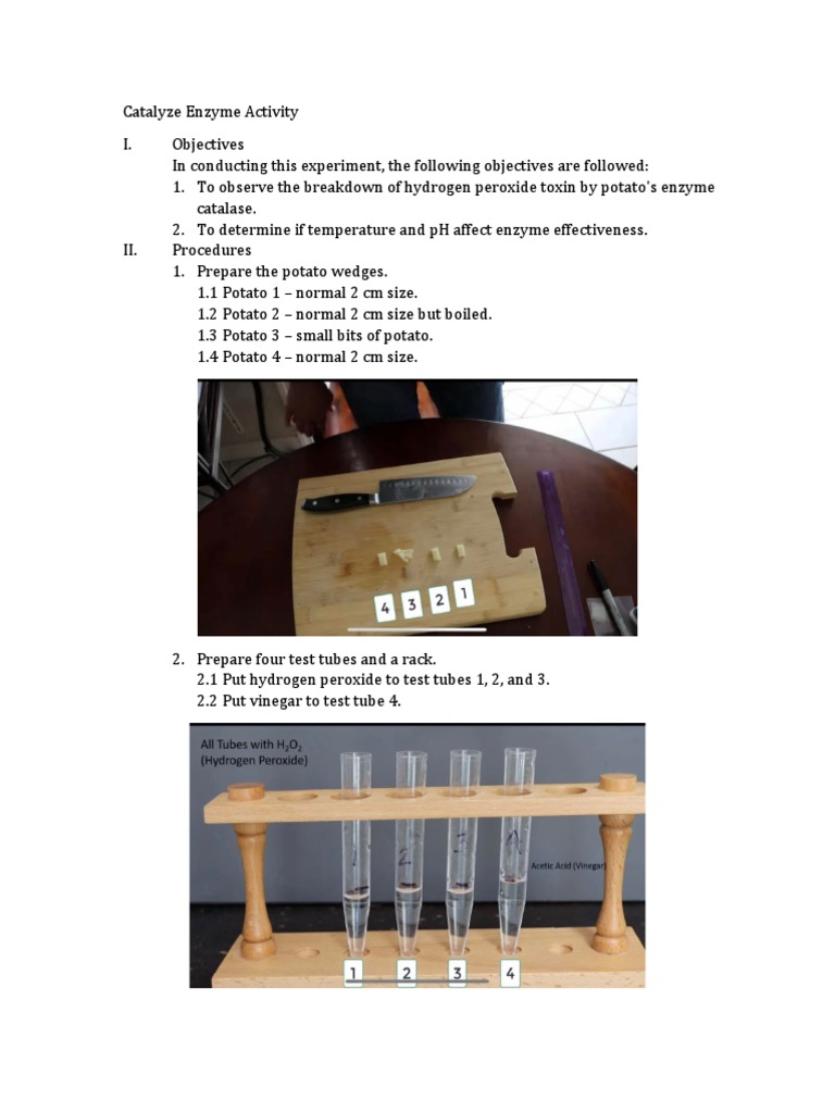 Explore How Temperature, pH and Surface Area Affect Enzyme Activity ...