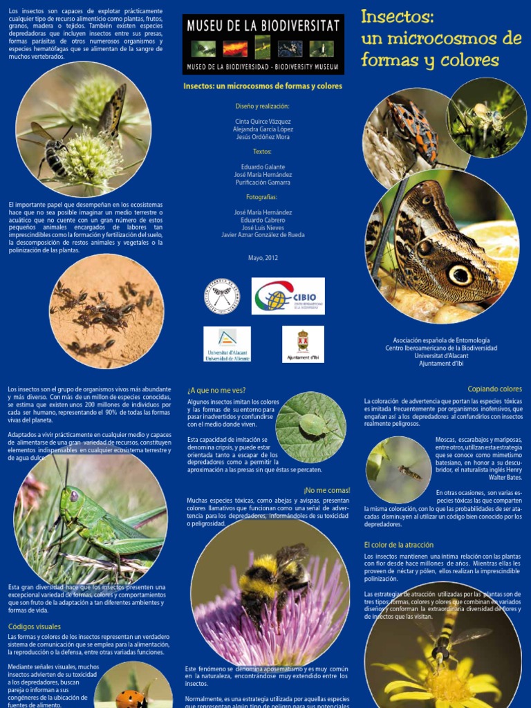 Triptico Insectos Web | PDF | Insectos | Depredación