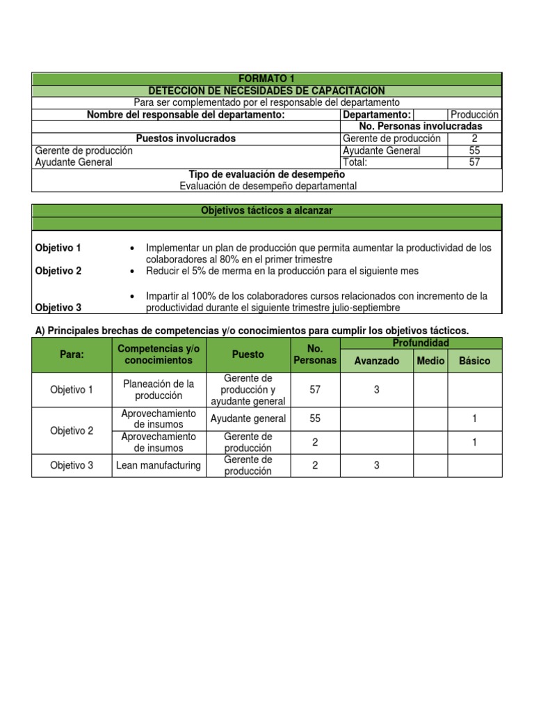 5.1.1 Formato de Detección de Necesidades de Capacitación (DNC) | PDF | Planificación | Business