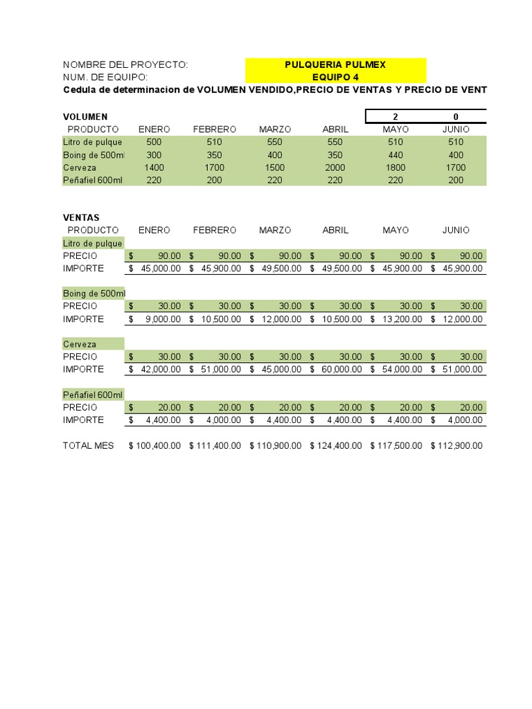 Analisisfinanciero PULQUE Equipo4 | PDF | Servicios financieros | Contabilidad