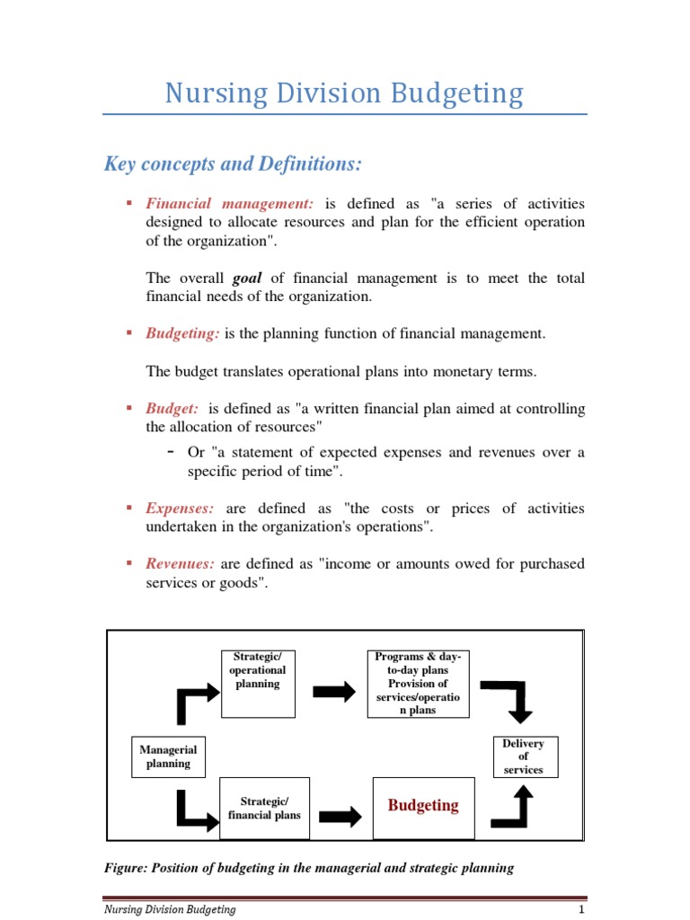 Nurse Exec Budgeting Guide | PDF