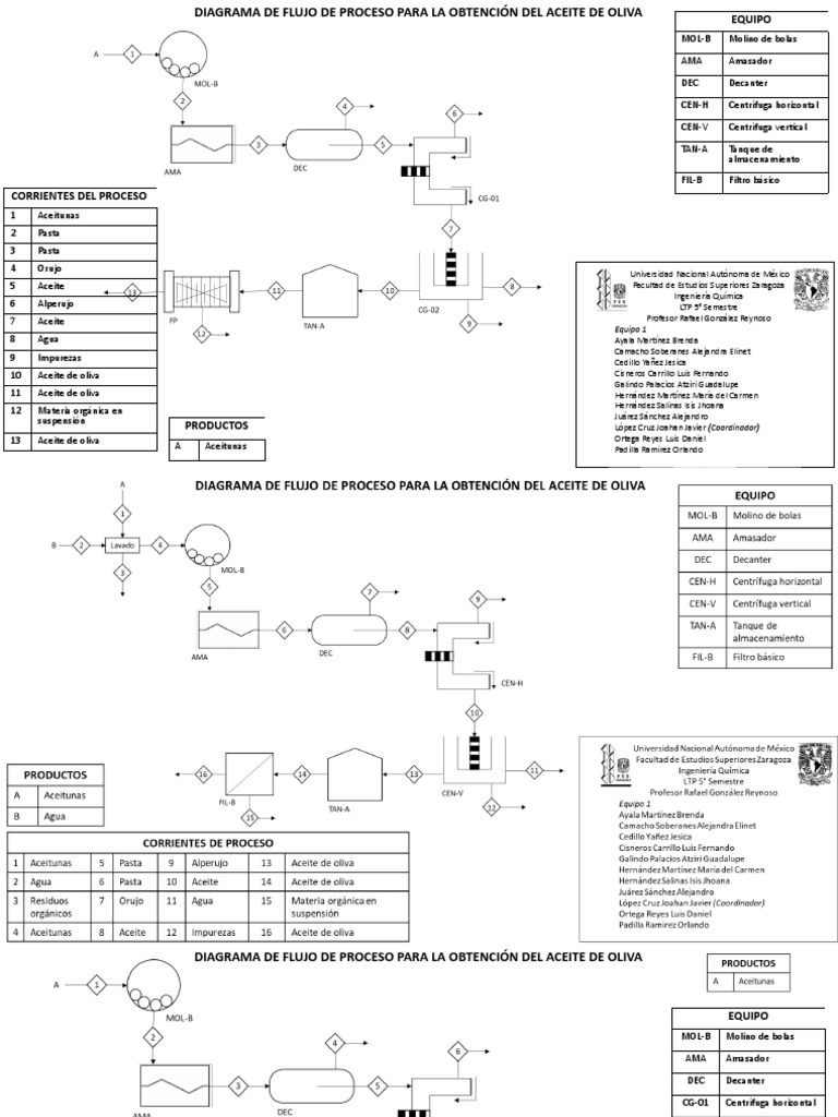 DFP Aceite de Oliva | PDF | Aceite de oliva | Alimentos