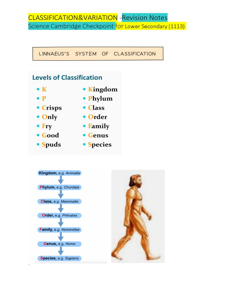 Classification and Variation in Species | PDF