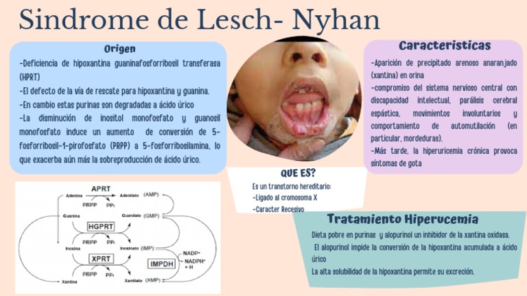 Sindrome de Lesch - Nyhan | PDF | Enfermedades y trastornos | Medicina ...