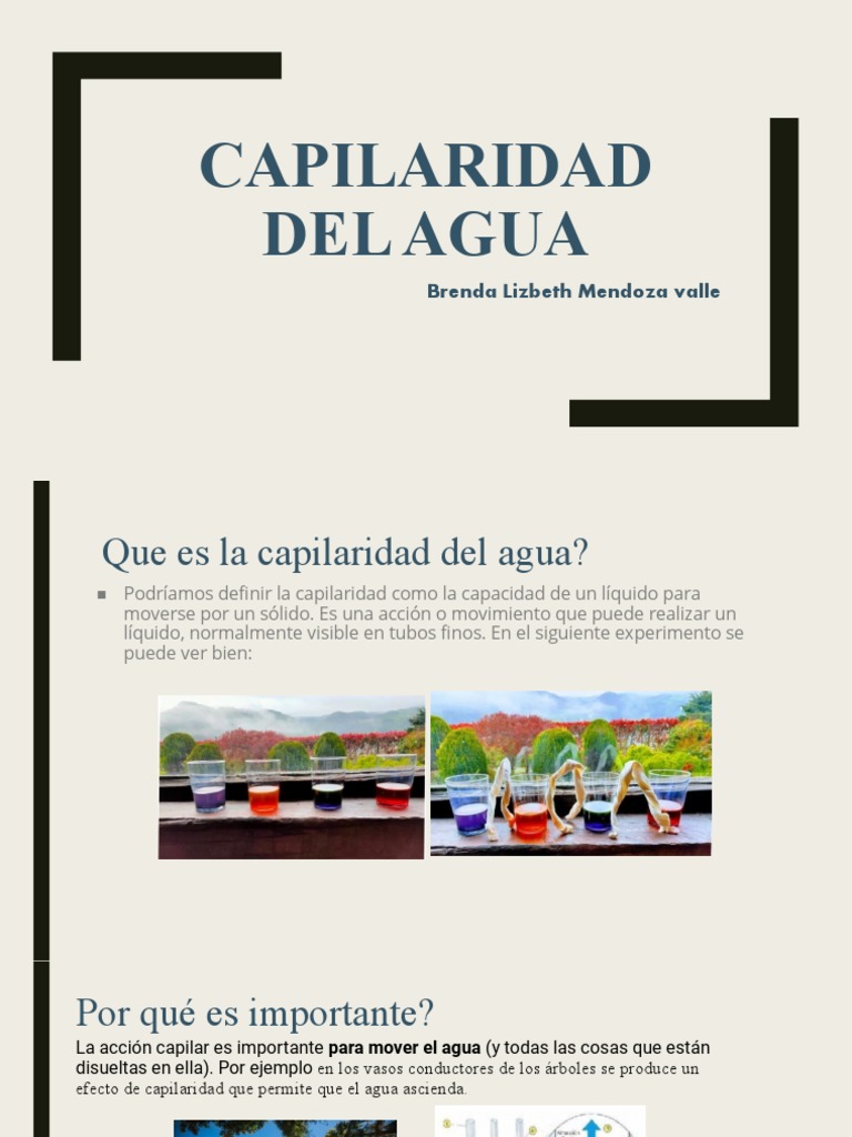 Capilaridad Del Agua | PDF