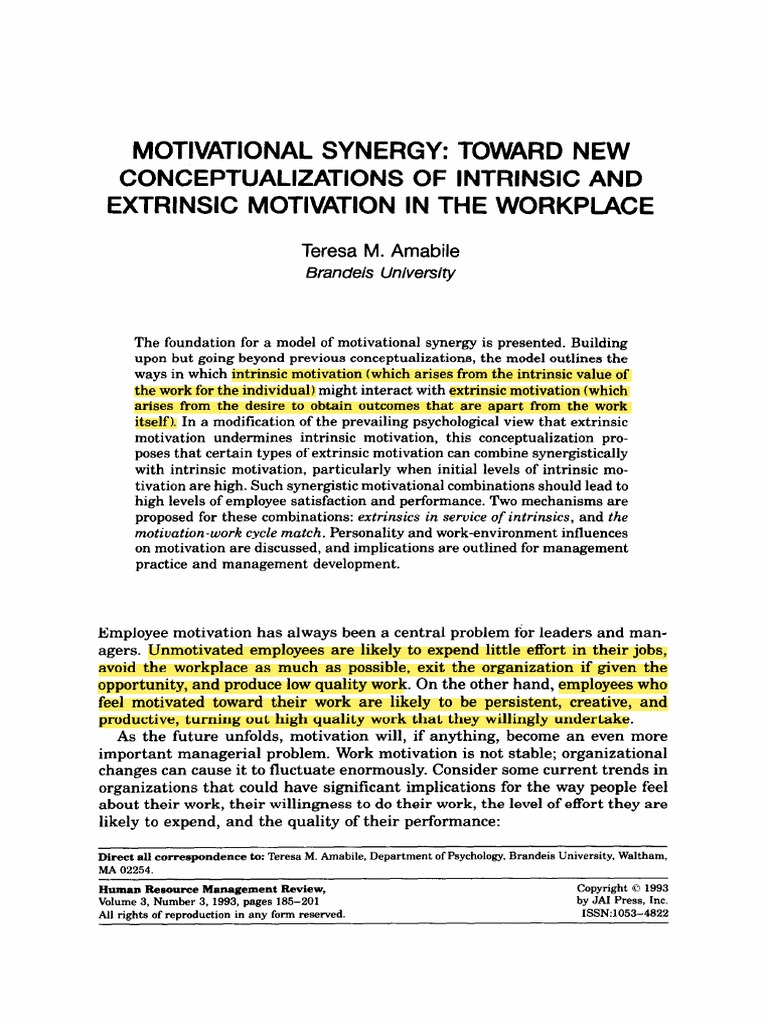 Motivational Synergy-Toward New - Intrinsic and Extrinsic Motivation in ...