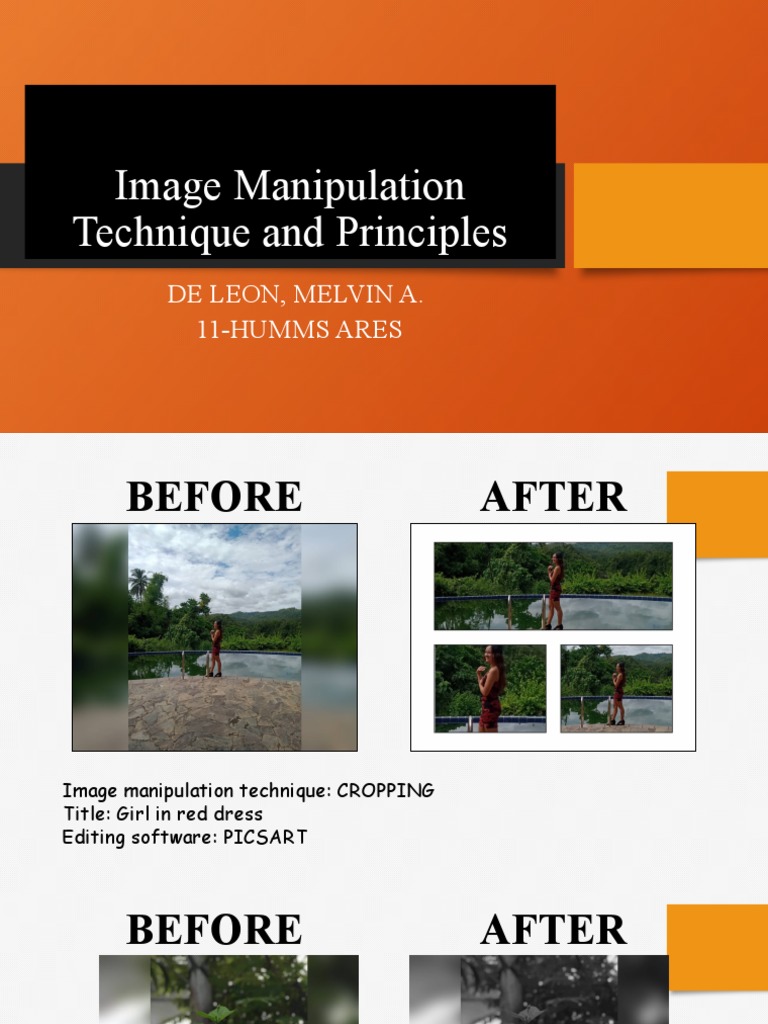 Melvin Image Manipulation | PDF