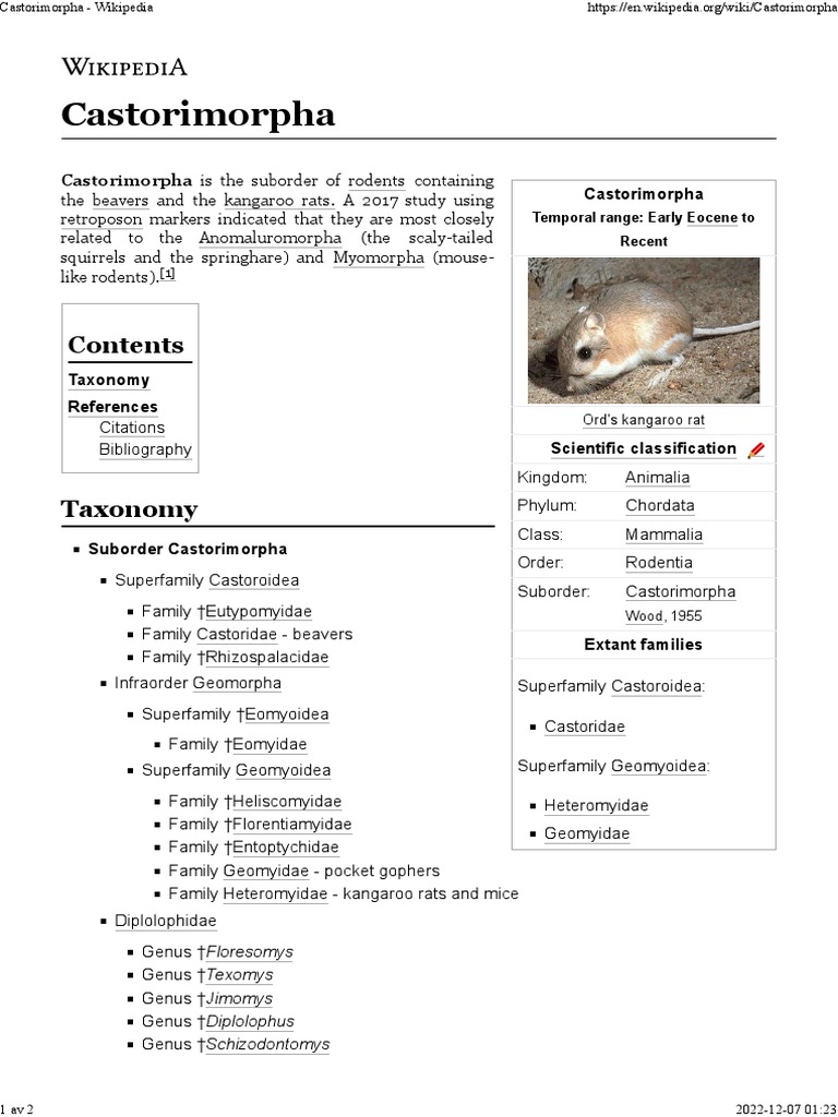Castorimorpha - Wikipedia | PDF | Rodent | Taxa