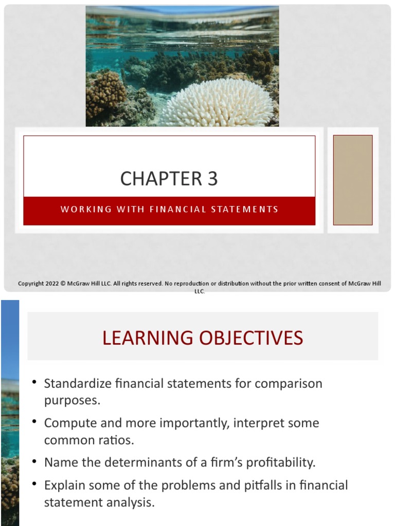 Ross Fundamentals of Corporate Finance 13e CH03 PPT Accessible | PDF