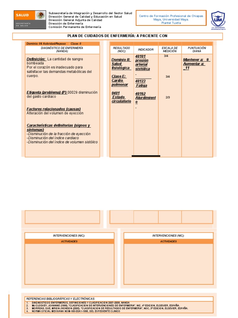 Formato para Places. | PDF | Enfermería | Corazón