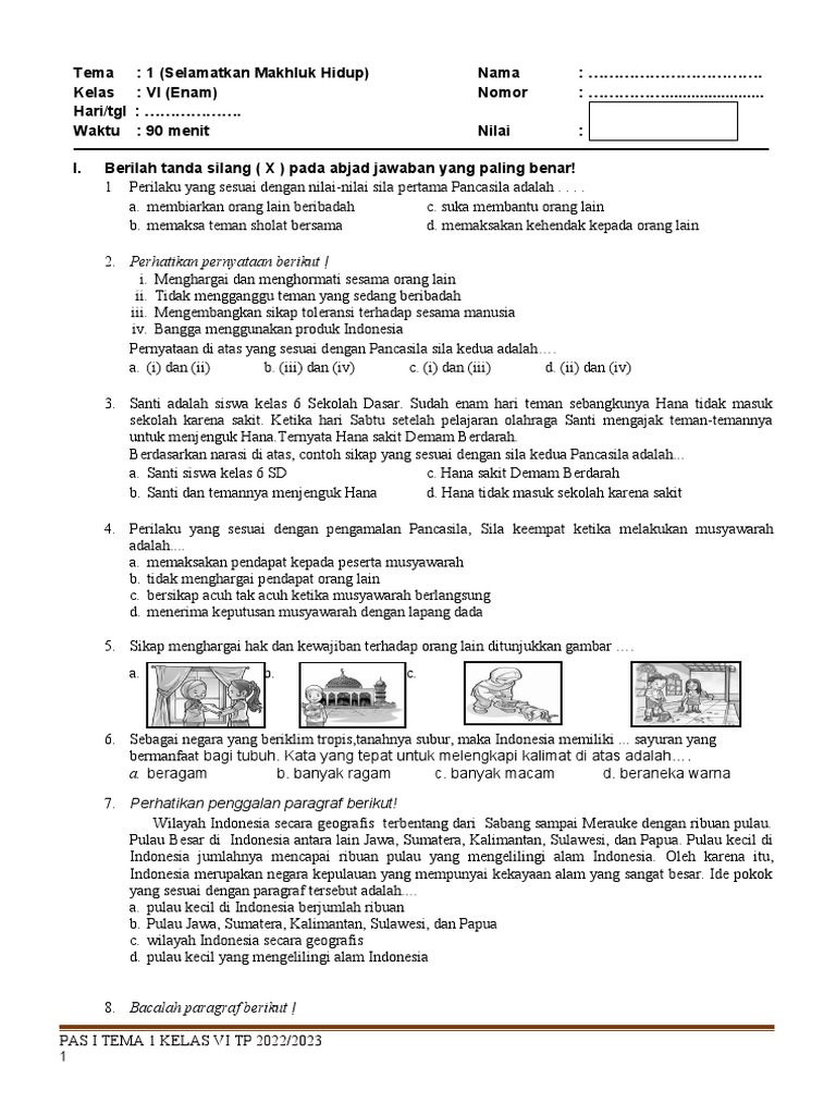 Pas I Tema 1 Kls Vi TP 2022-2023 | PDF