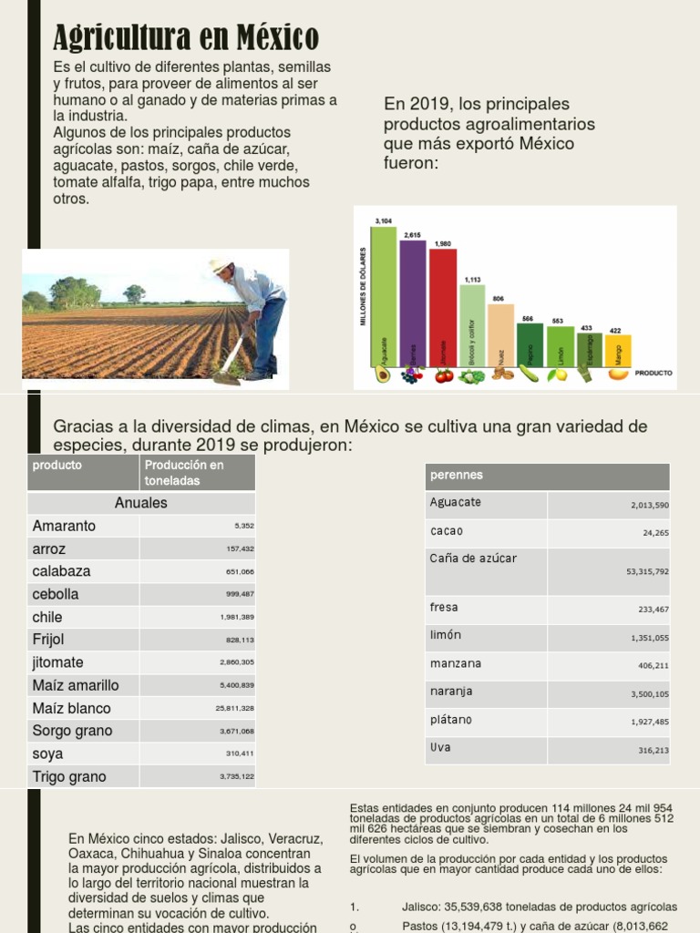 Agricultura en México | PDF