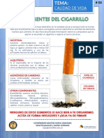 Componentes y riesgos del cigarro | PDF | Cigarrillo | Fumar