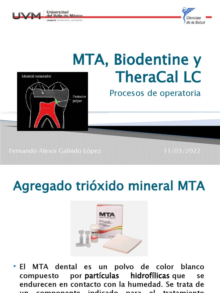 MTA, Biodentine y TheraCal LC. PROCESOS DE OPERATORIA | PDF | Esmalte ...