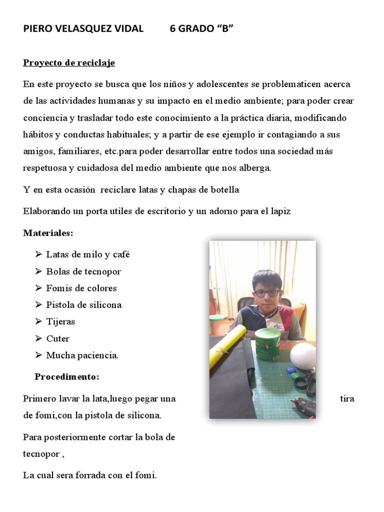 Proyecto De Reciclaje Pdf