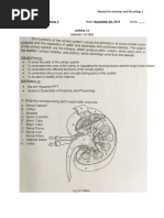 Gummy Bear Lab | PDF | Anatomical Terms Of Location | Animal Physiology