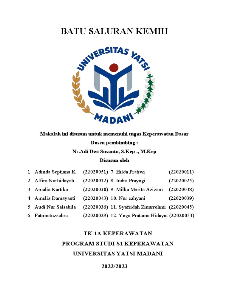 Batu Saluran Kemih | PDF