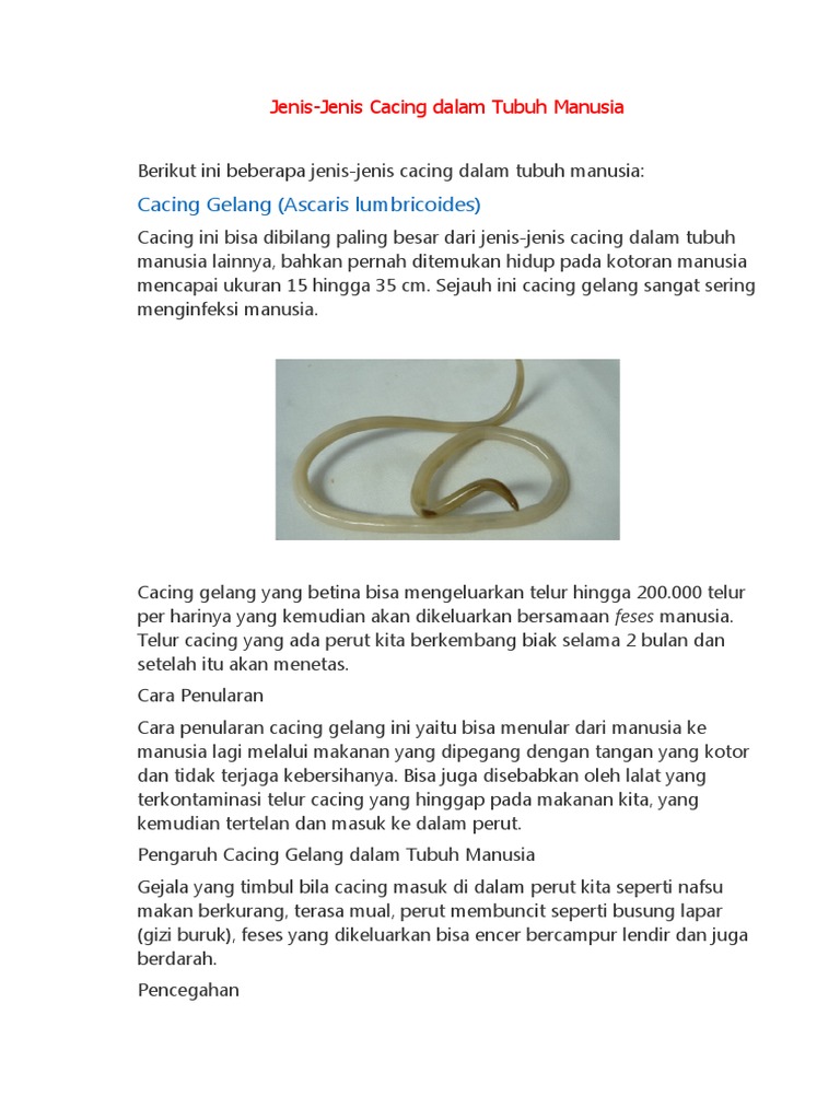 Jenis Cacing Dan Pengaruhnya | PDF