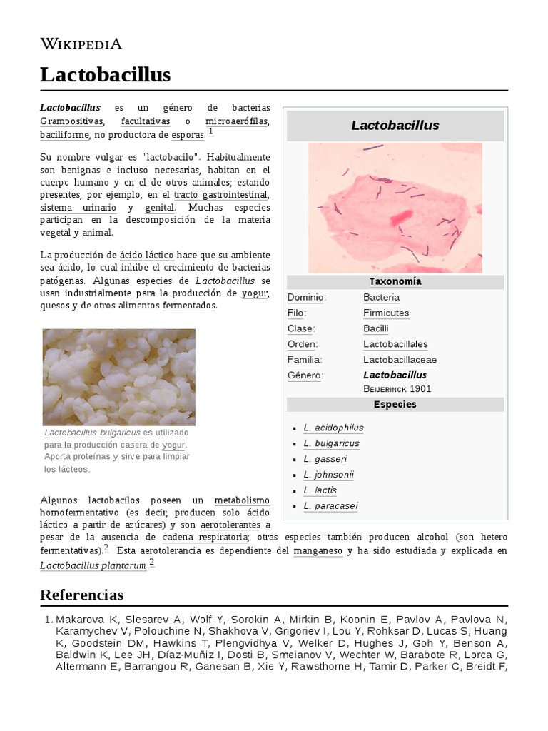 Lactobacillus | PDF | Lactobacillus | Bacterias Gram Positivas