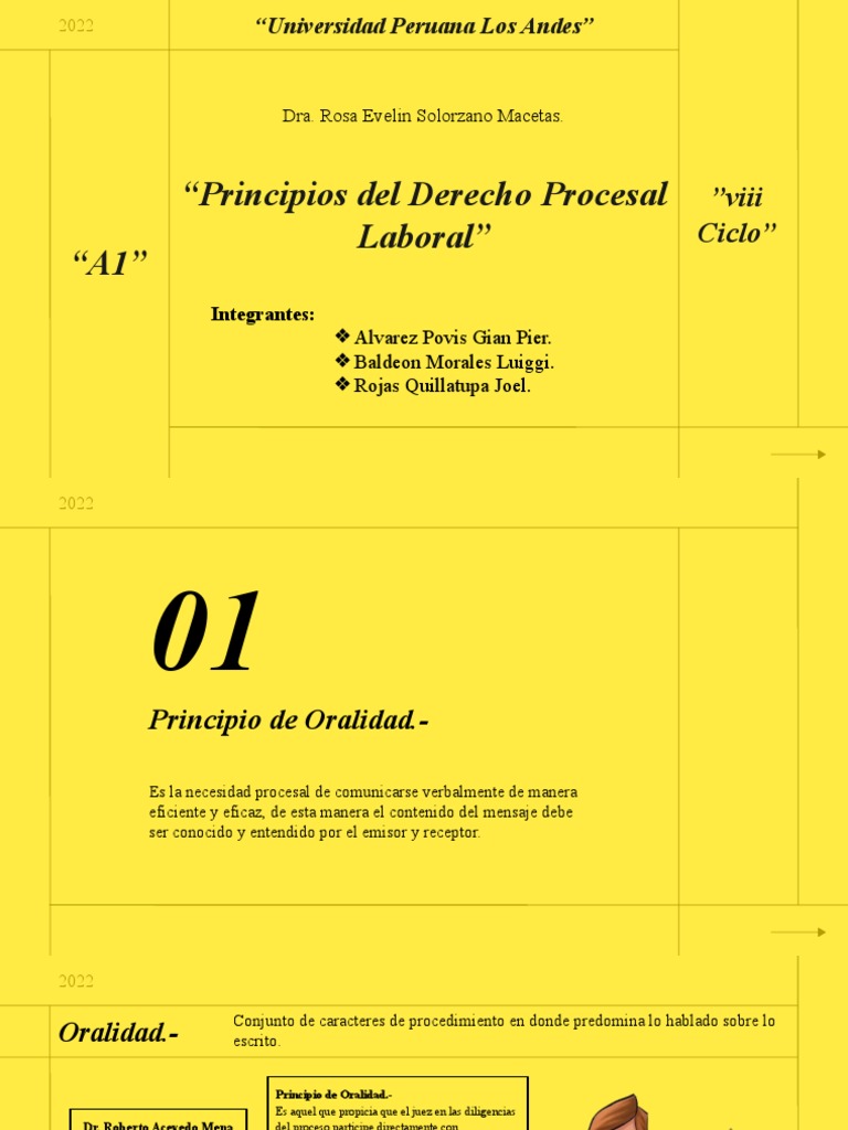 Principios Del Derecho Procesal | PDF