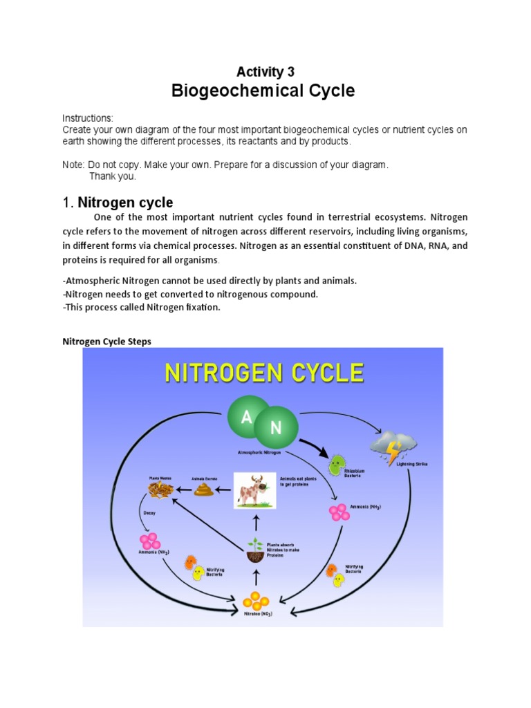 Diagramming the Biogeochemical Cycles: Instructions for Creating ...