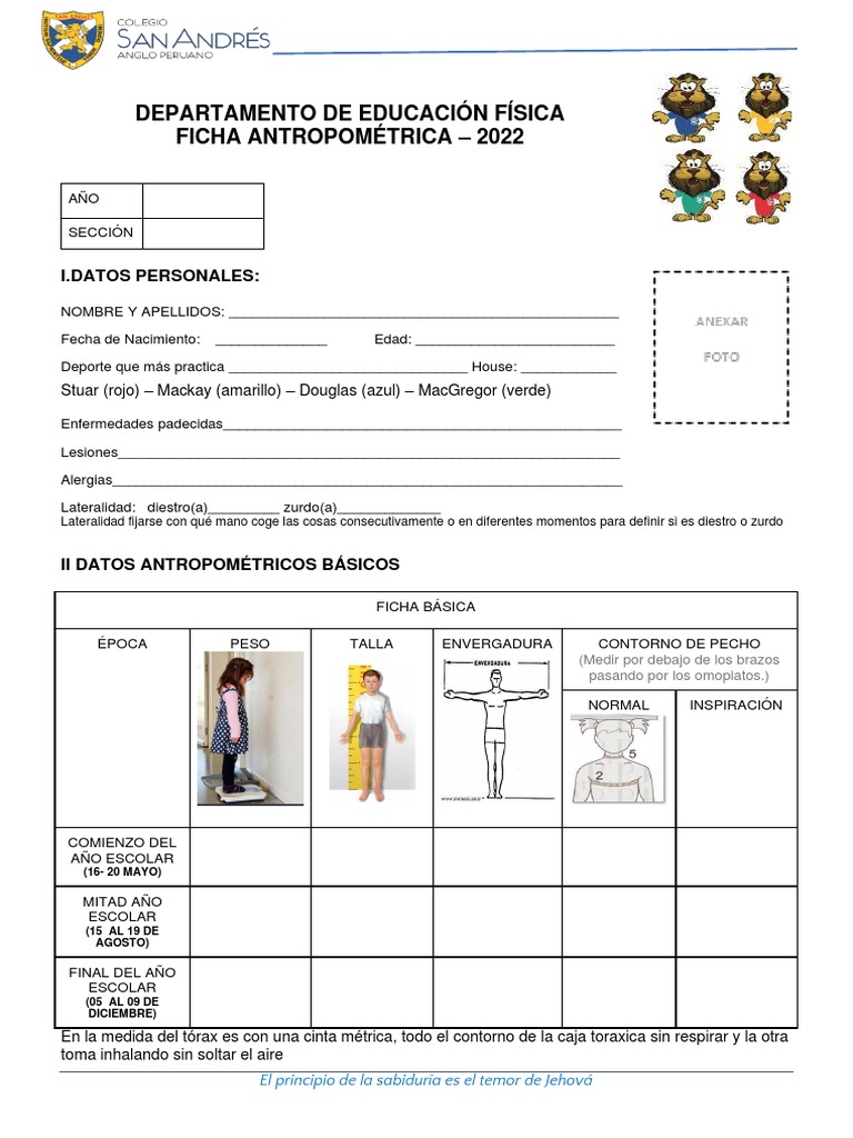 Ficha Antropometrica 2022. Erika | PDF