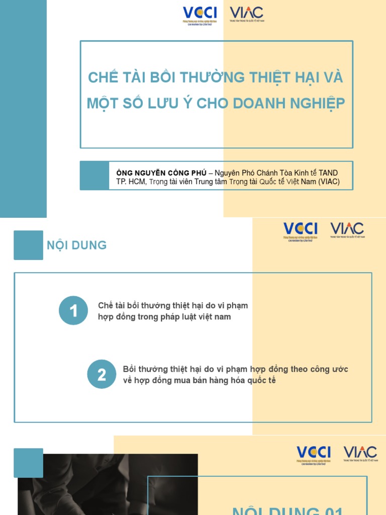 (VIAC-VCCI) Boi Thuong Thiet Hai | PDF