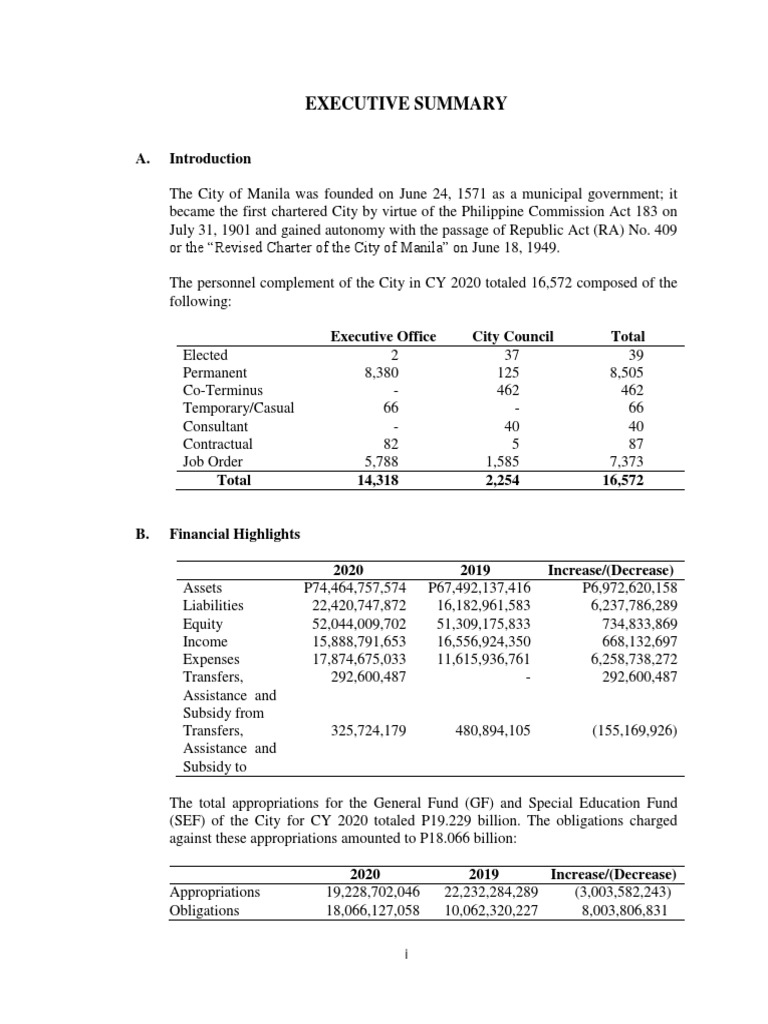 Manila City Executive Summary 2020 | PDF | Audit | Accounting