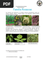 30 Vegetales Con Sus Cromosomas | PDF