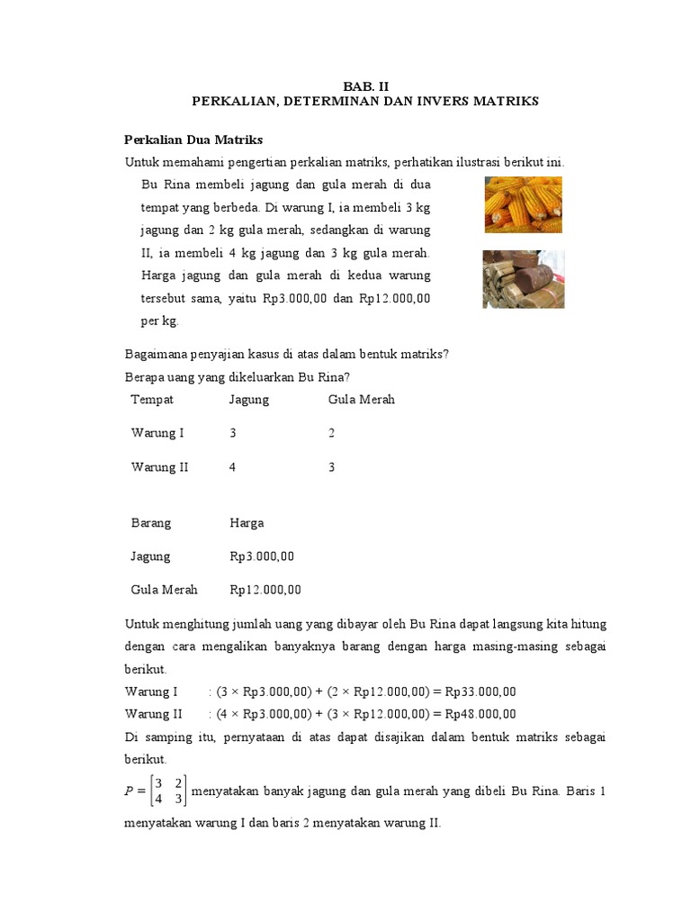 Bab. Ii Perkalian, Determinan Dan Invers Matriks | PDF
